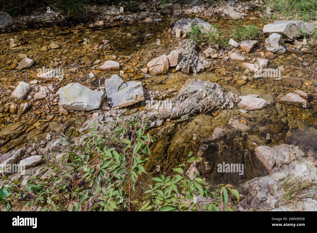 Mountain stream with rocky bed flowing in wilderness park in South ...