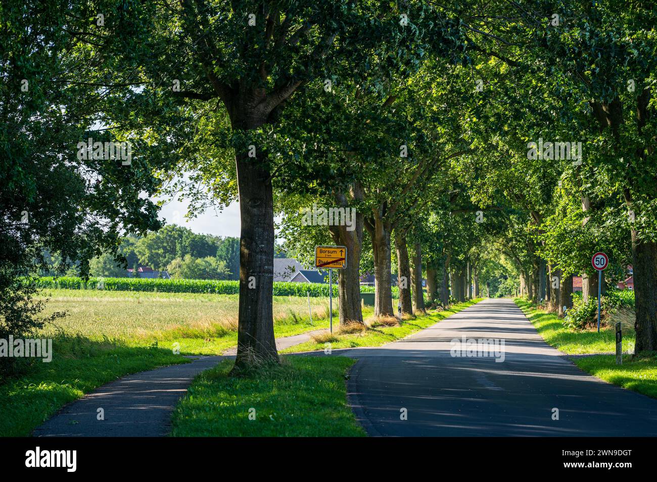 A sunny street scene with lush green trees and traffic signs along the ...