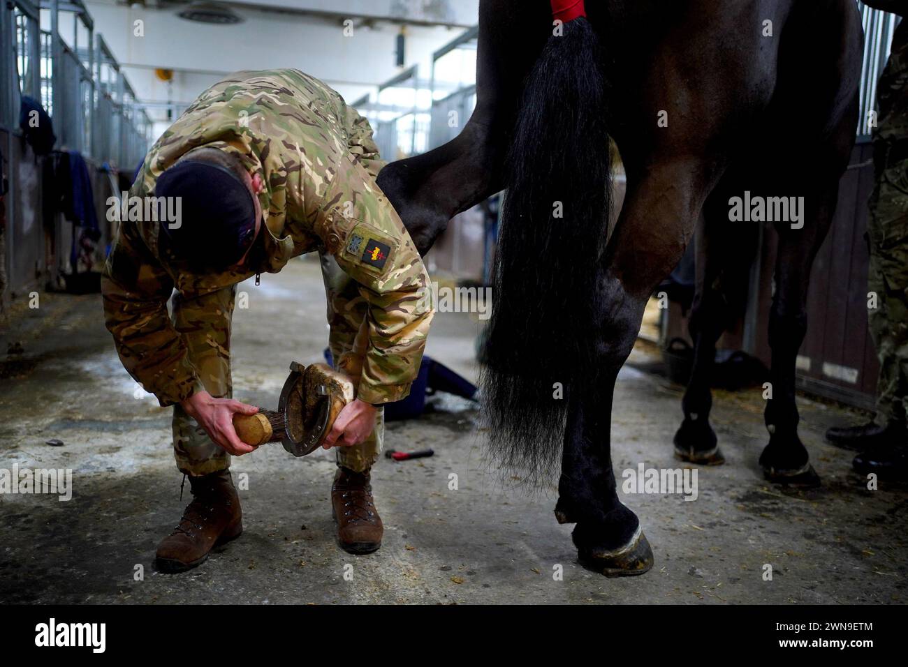 A member of the Blues and Royals, a cavalry regiment of the British ...
