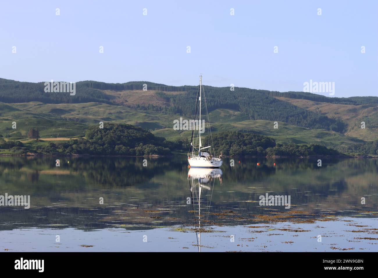 White sailing yacht on a calm sea loch, with green hillside reflected ...