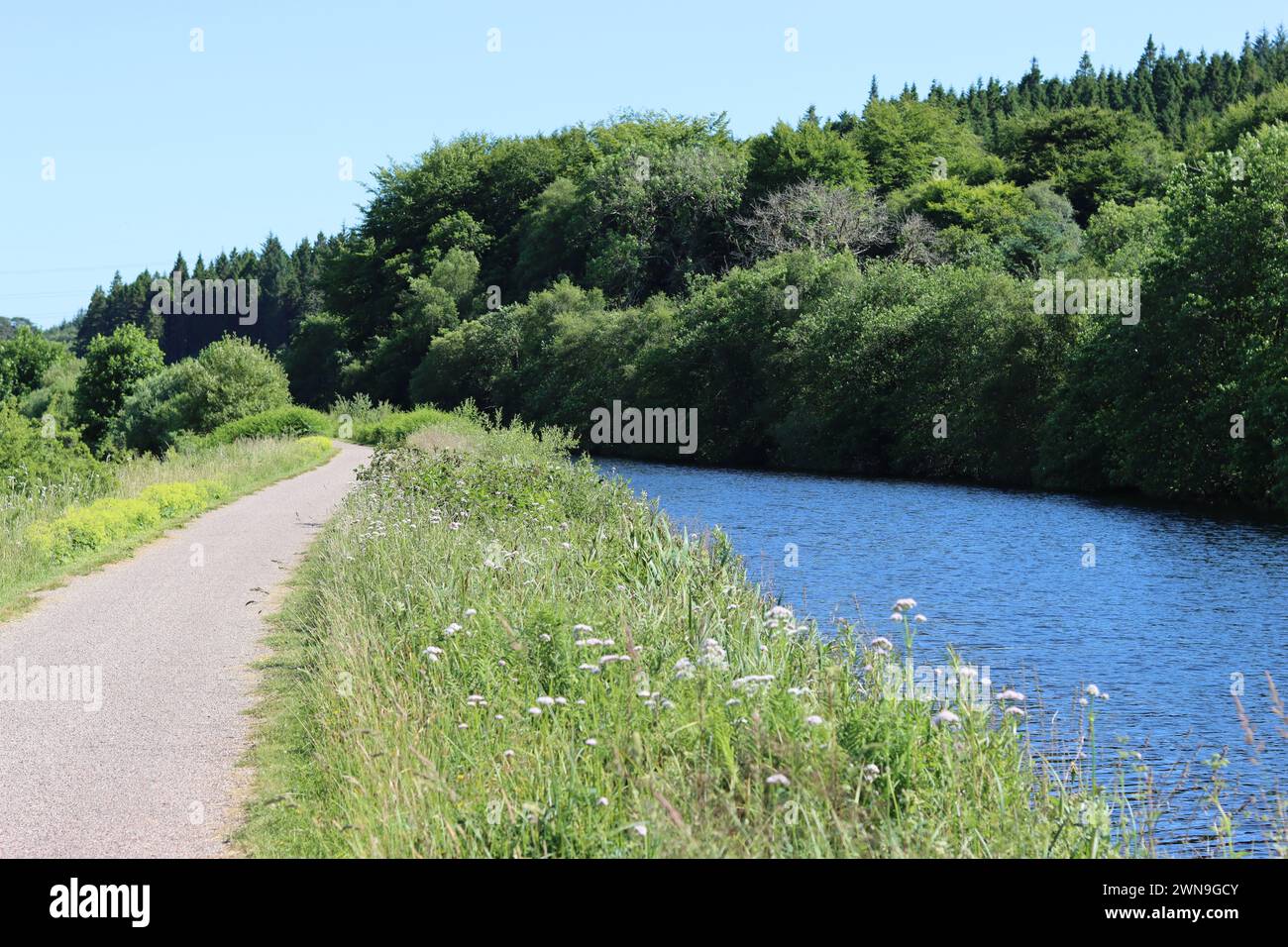 Grass towpath hi-res stock photography and images - Alamy