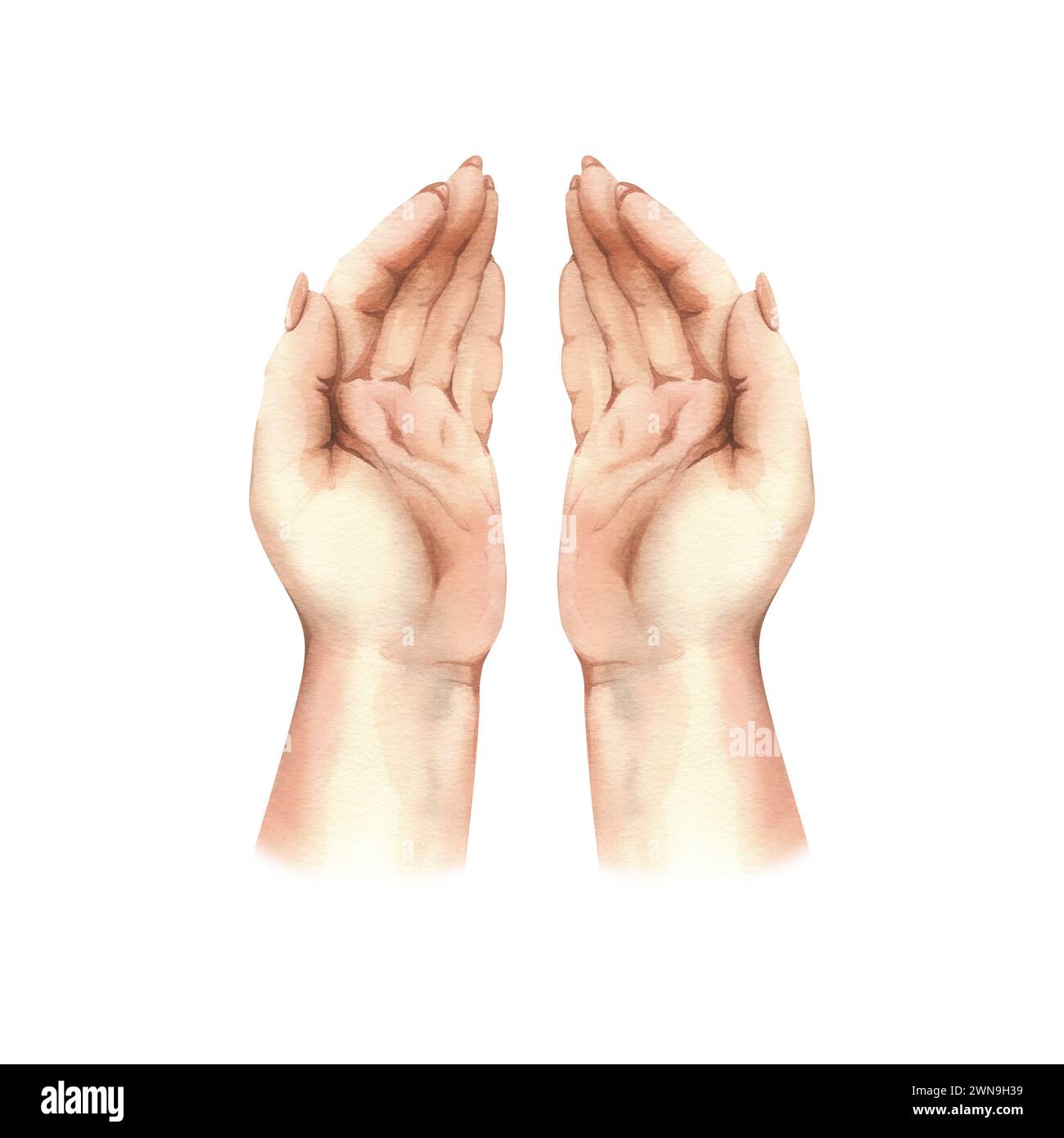 Hands of a white woman, palms top view, handful with long nails of ...
