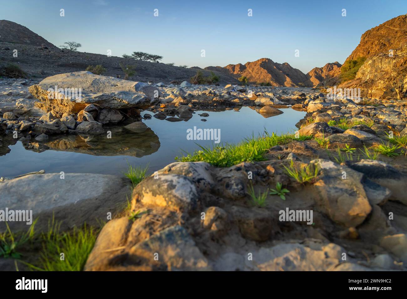 Beautiful small oasis in desert with background of huge mountains Stock ...