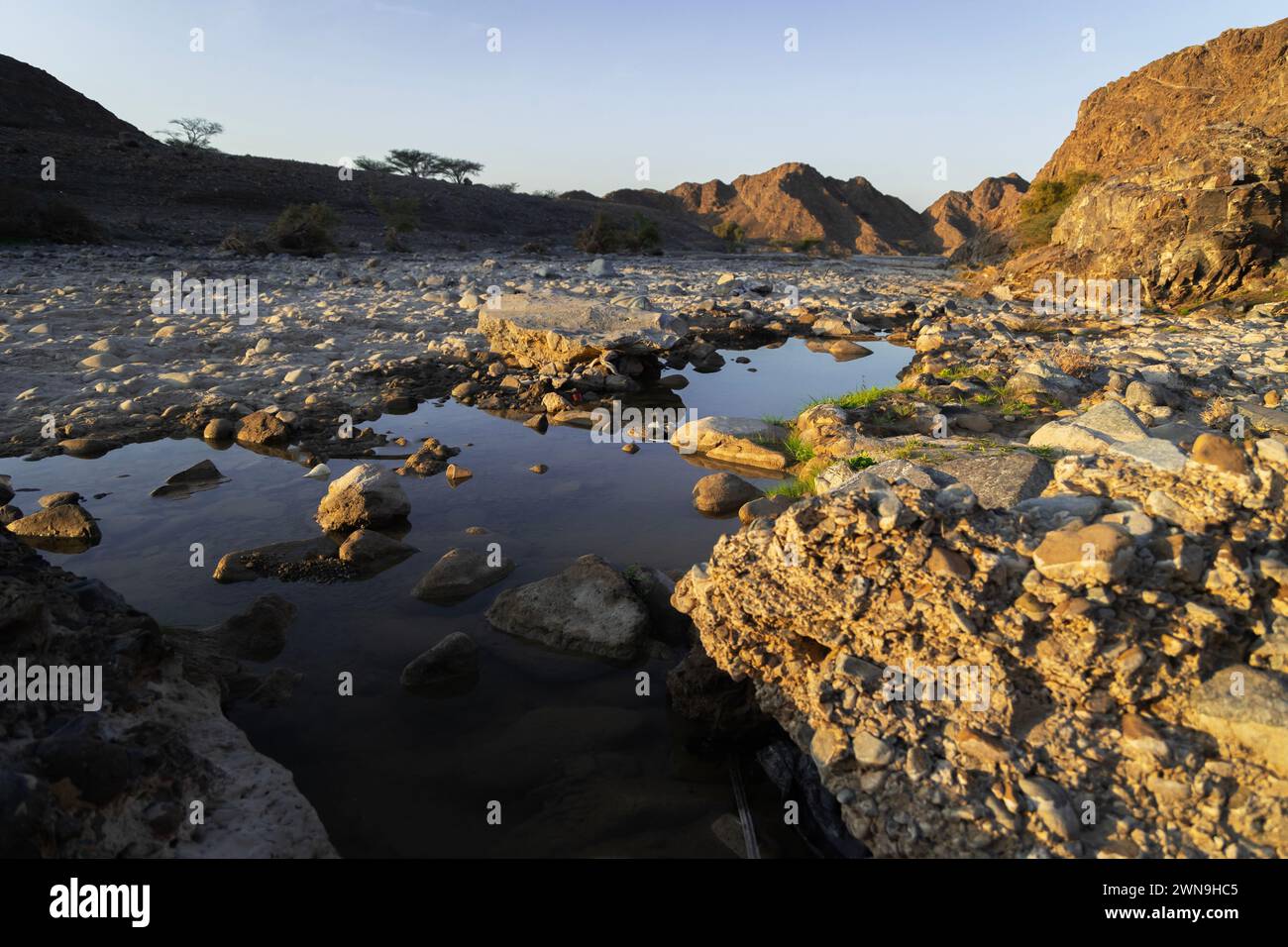 Beautiful small oasis in desert with background of huge mountains Stock ...