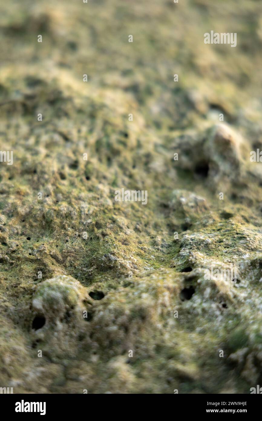 Sonoran desert national park photos hi-res stock photography and images ...