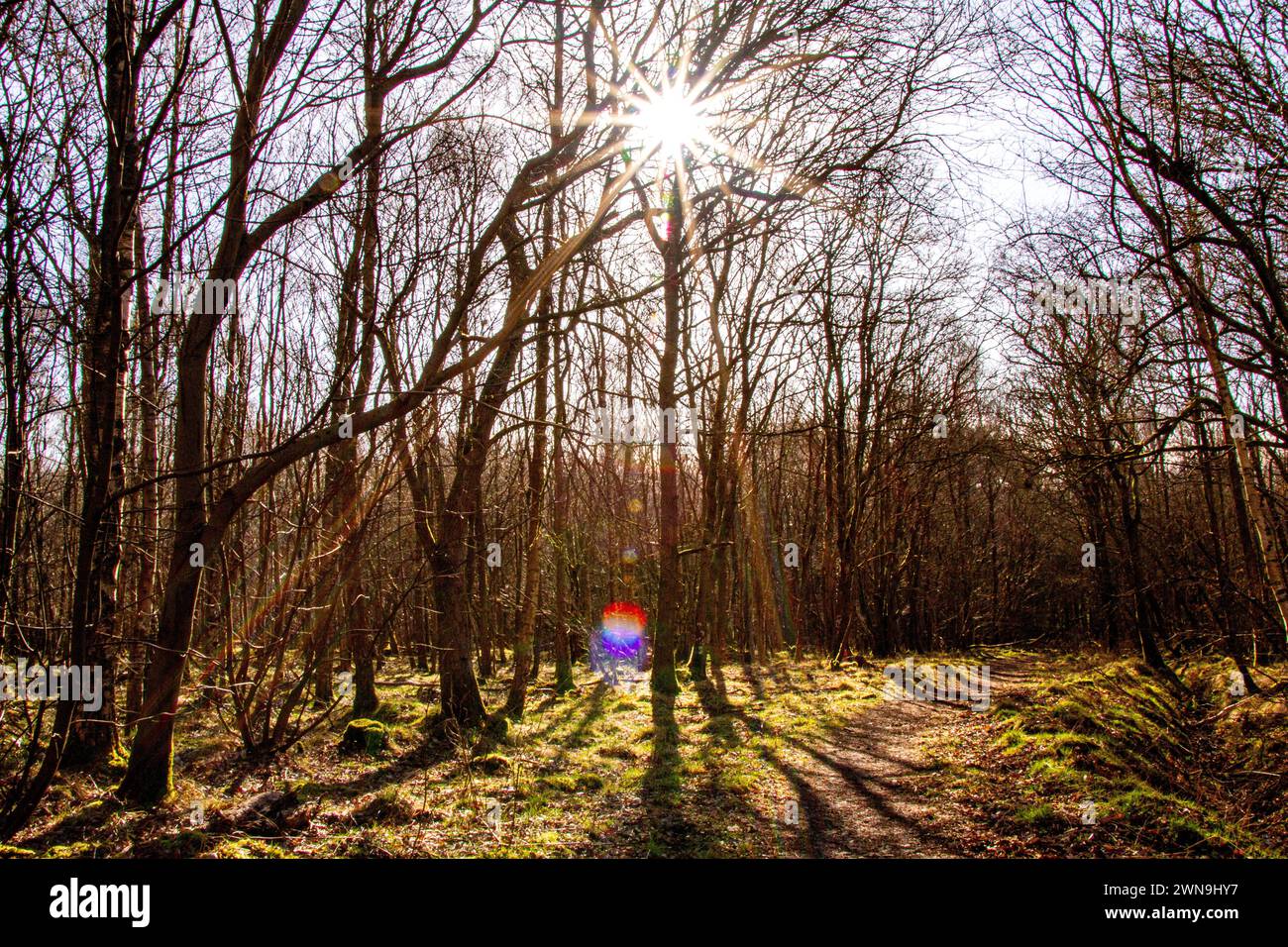 Dundee, Tayside, Scotland, UK. 1st Mar, 2024. UK Weather: Magnificent ...