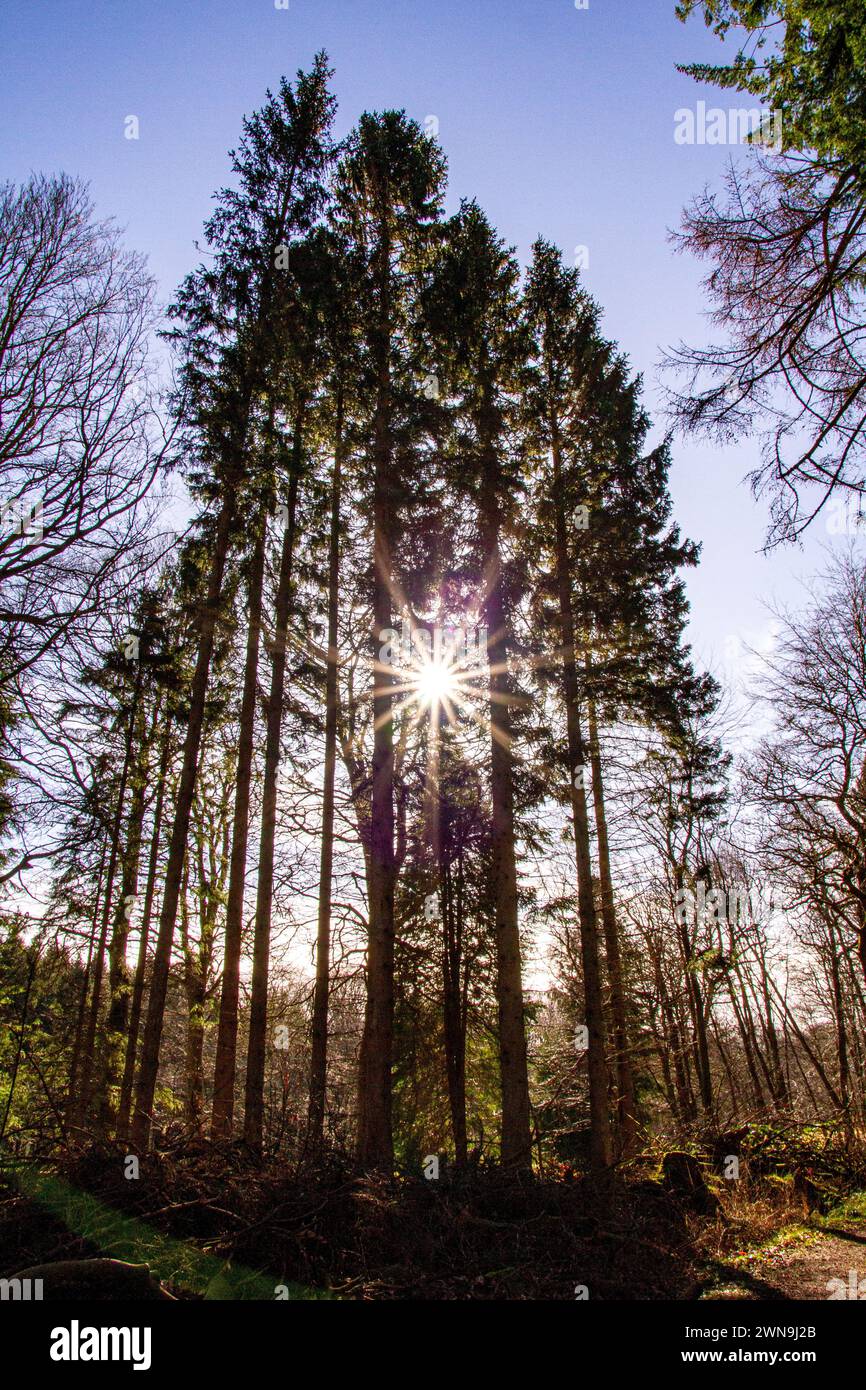 Dundee, Tayside, Scotland, UK. 1st Mar, 2024. UK Weather: Magnificent ...