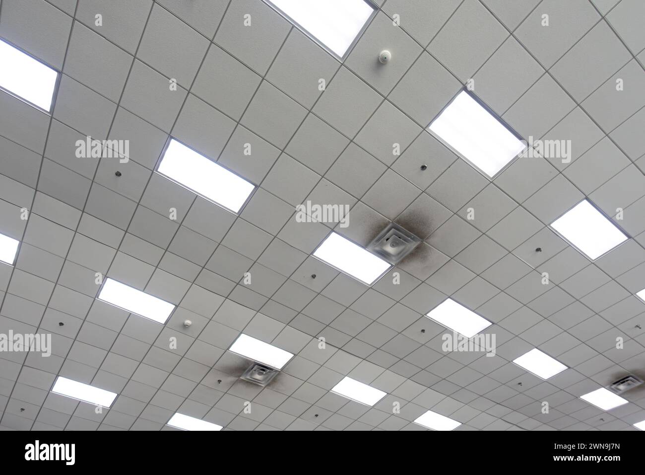 White ceiling with neon light bulbs in uprisen view.as background ...
