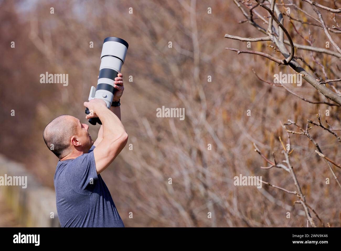 Wildlife and nature photographer in the forest, with camera and long ...