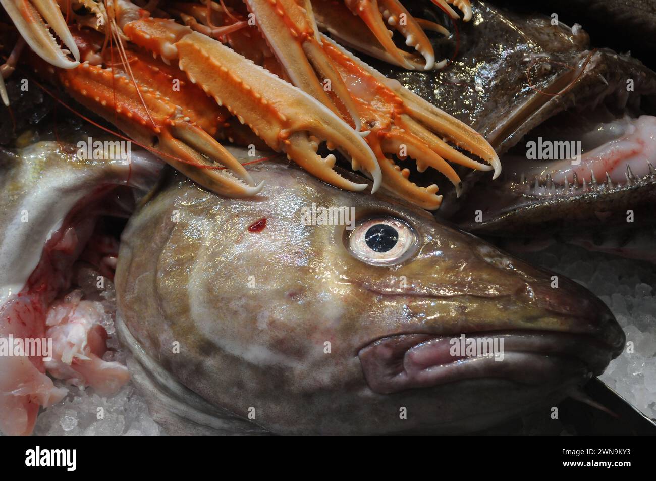 Copenhagen, Denmark /01 March 2024/ Seafood menu various fish on sale ...