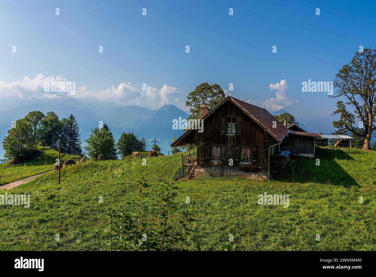 Lucerne farm hi-res stock photography and images - Alamy