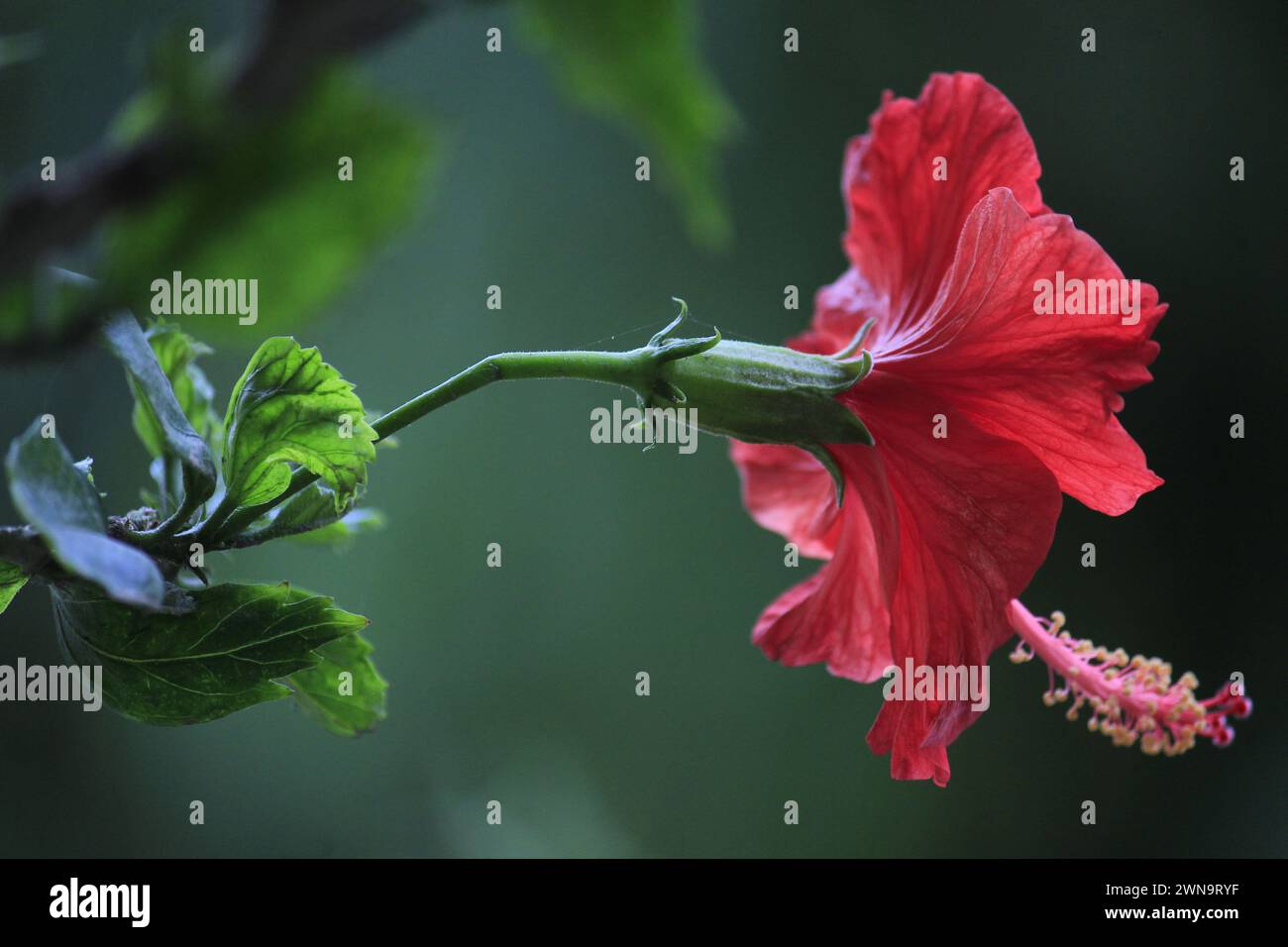 Shot by canon hi-res stock photography and images - Alamy