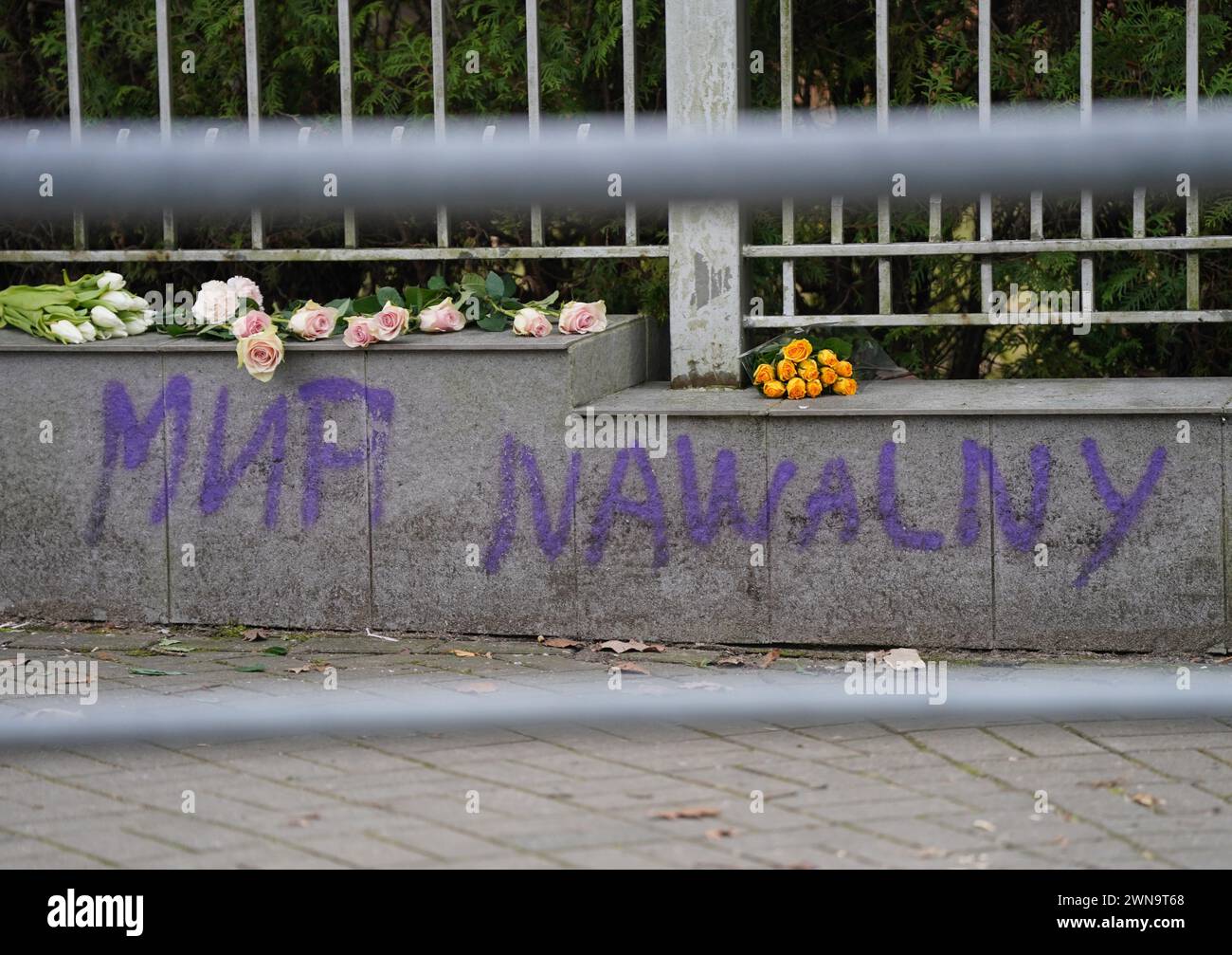 Polar wolf prison hi-res stock photography and images - Alamy