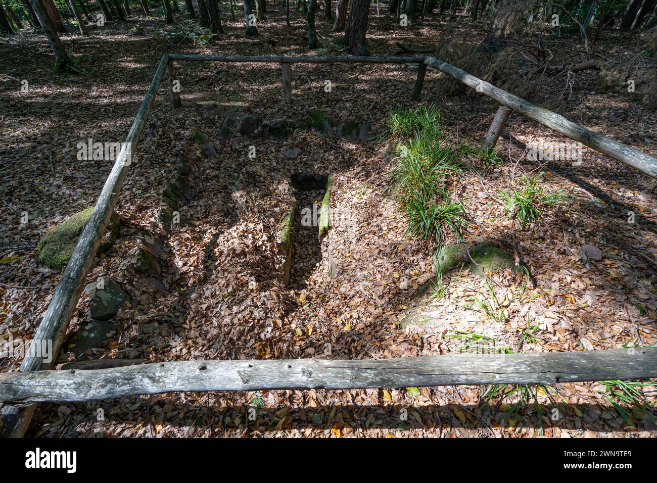 Path of the Gauls. View of a Merovingian tomb on the ground in the ...