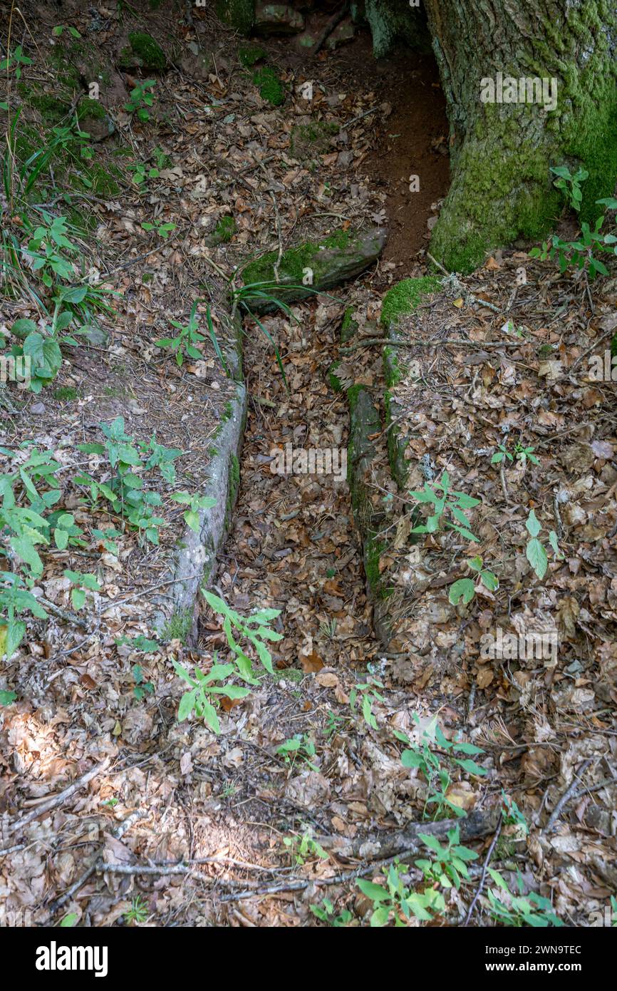 Path of the Gauls. View of a Merovingian tomb on the ground in the ...