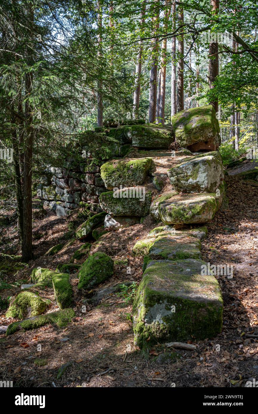 Path of the Gauls. View of the pagan stone wall, stairs and trees Stock ...