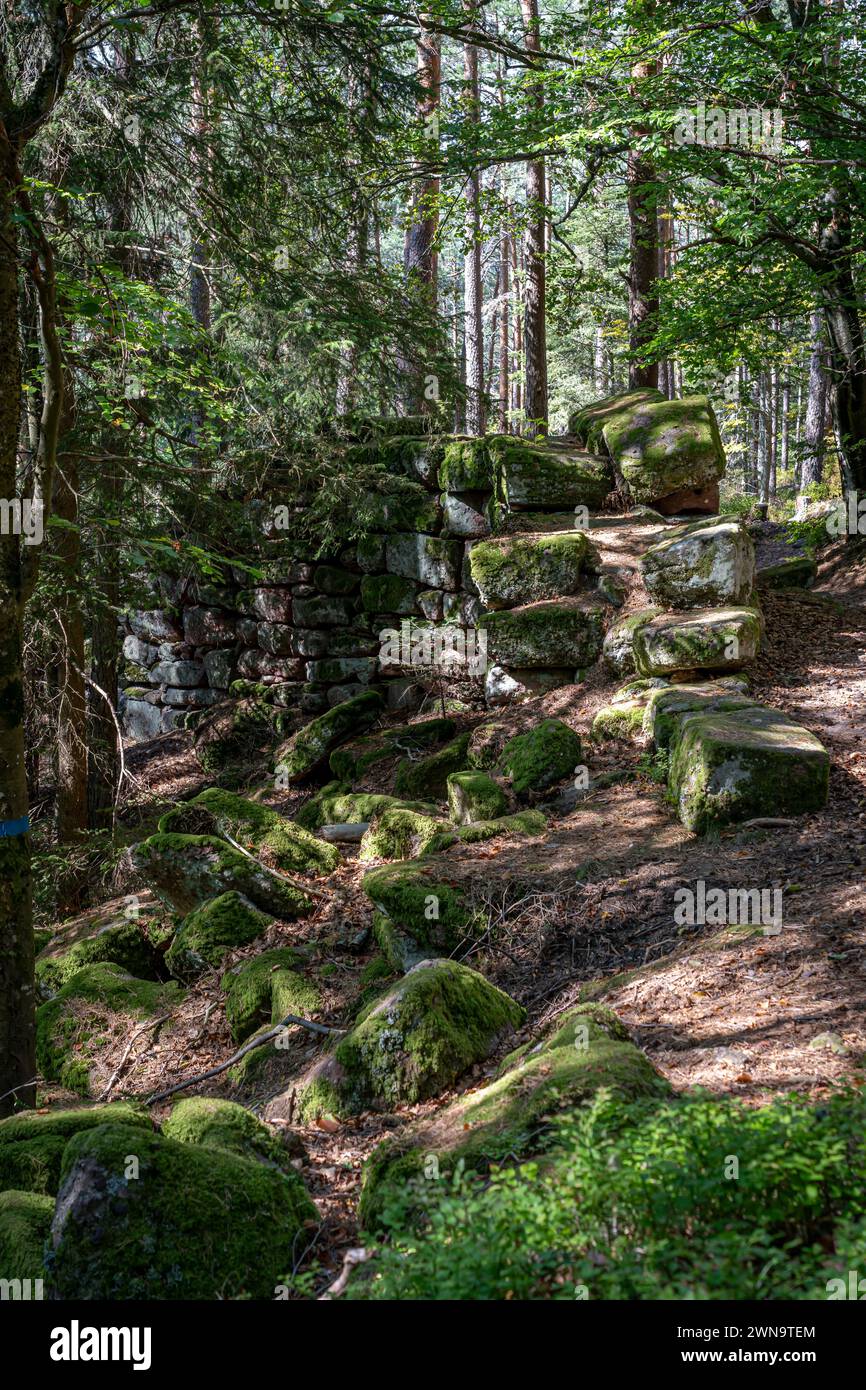 Path of the Gauls. View of the pagan stone wall, stairs and trees Stock ...