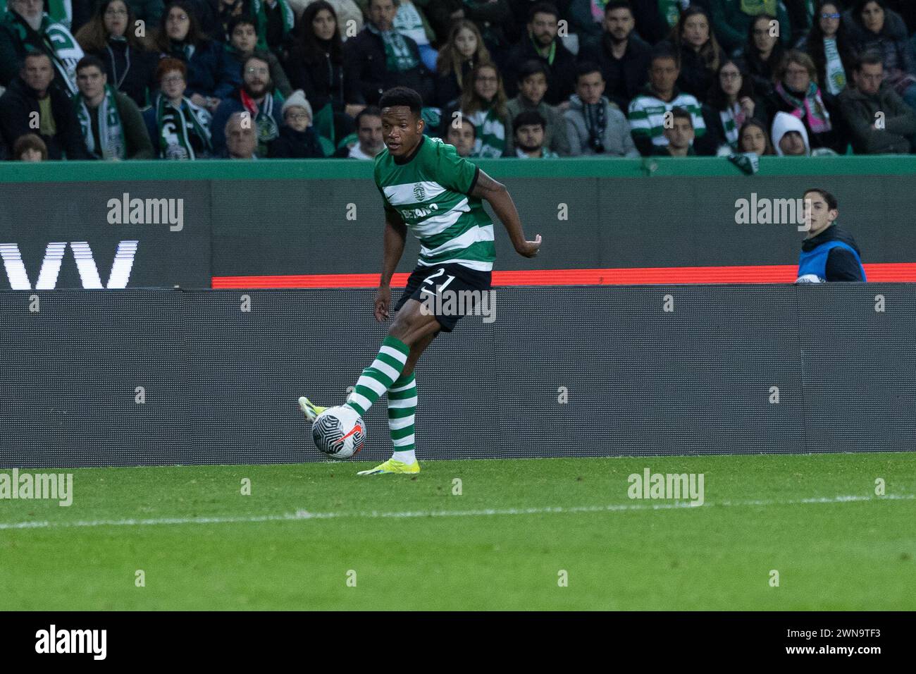 Geny catamo hi-res stock photography and images - Alamy