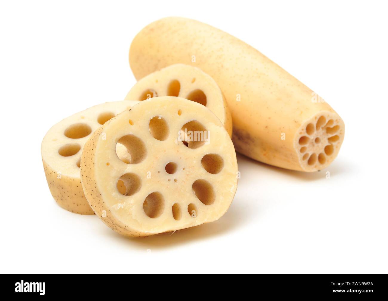 Lotus root on the white background Stock Photo - Alamy