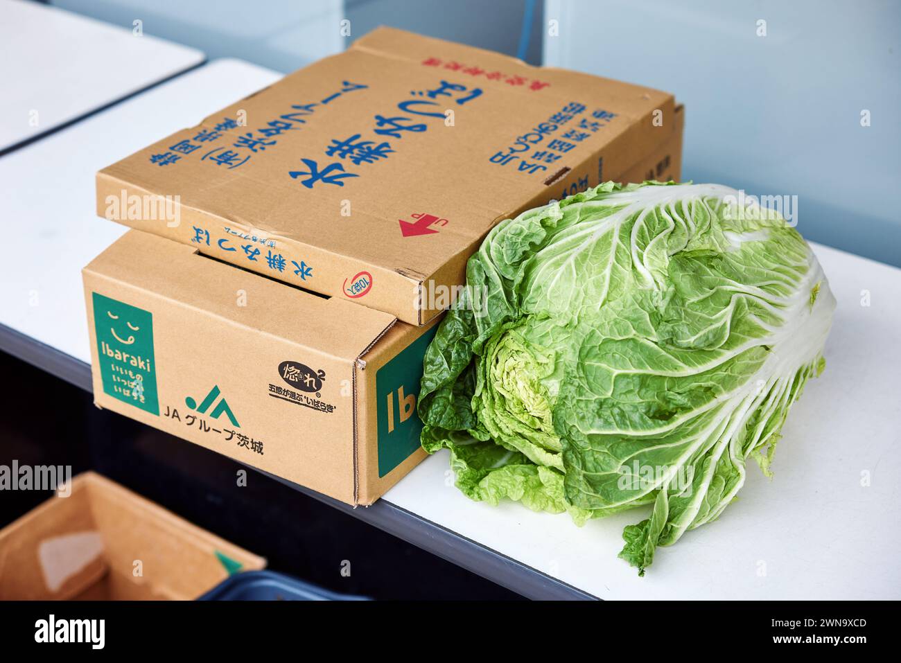 Chinese cabbage and cardboard boxes (with Japanese text Stock Photo - Alamy