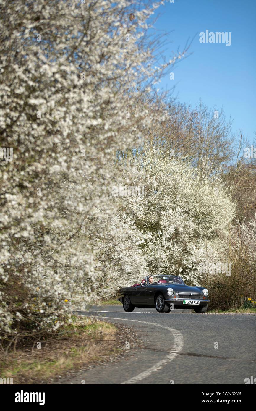 File Photo Electric RBW Roadster. The battery powered classic car is ...