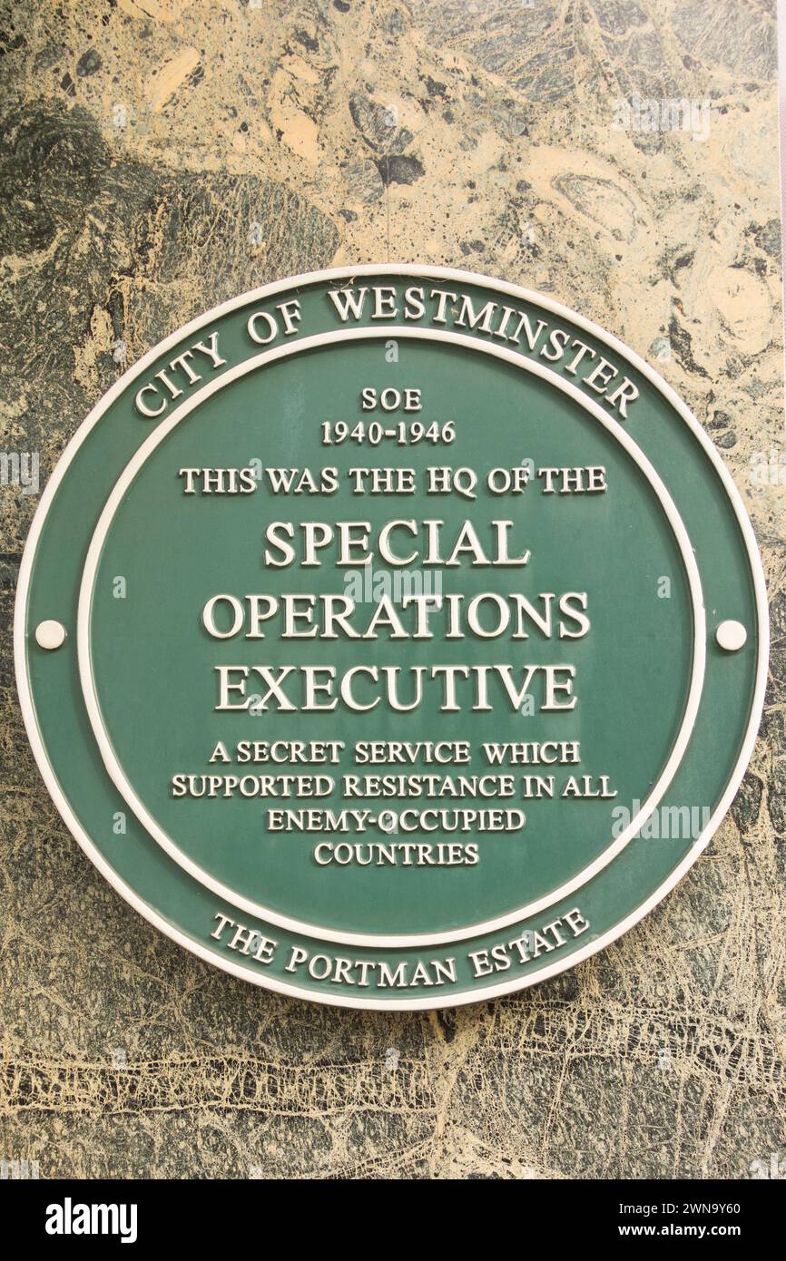 Close up of Special Operations Executive (SOE) secret service on green ...