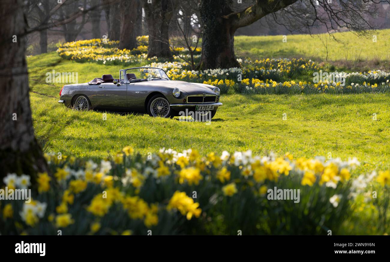 File Photo Electric RBW Roadster. The battery powered classic car is ...