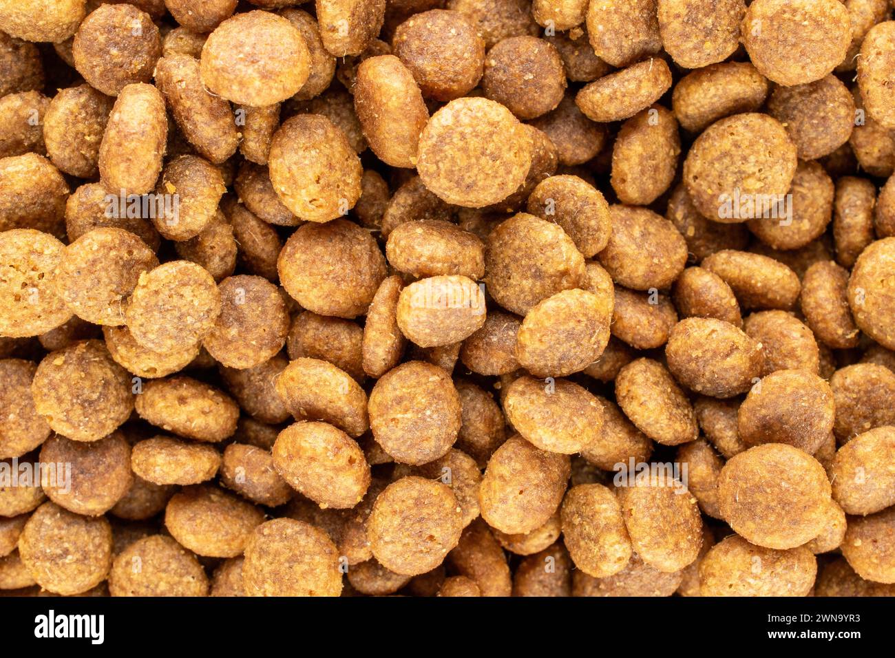 Dog food , macro, top view Stock Photo - Alamy