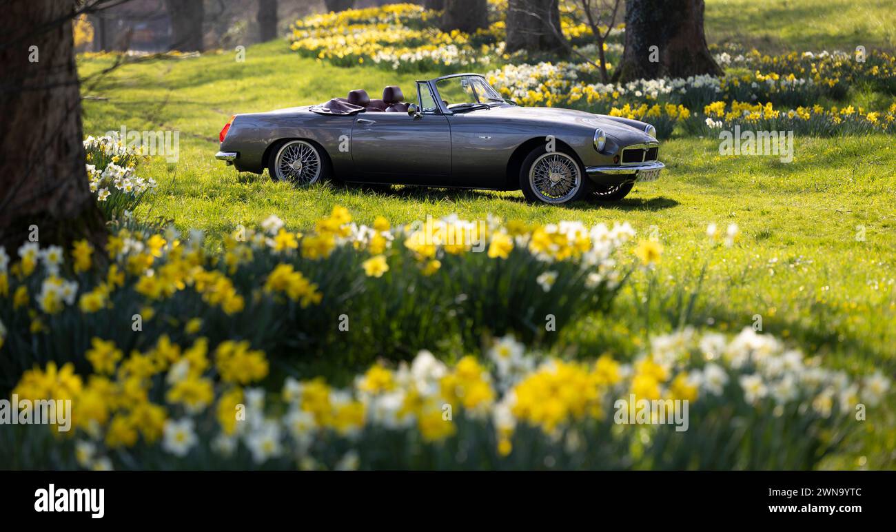 File Photo Electric RBW Roadster. The battery powered classic car is ...