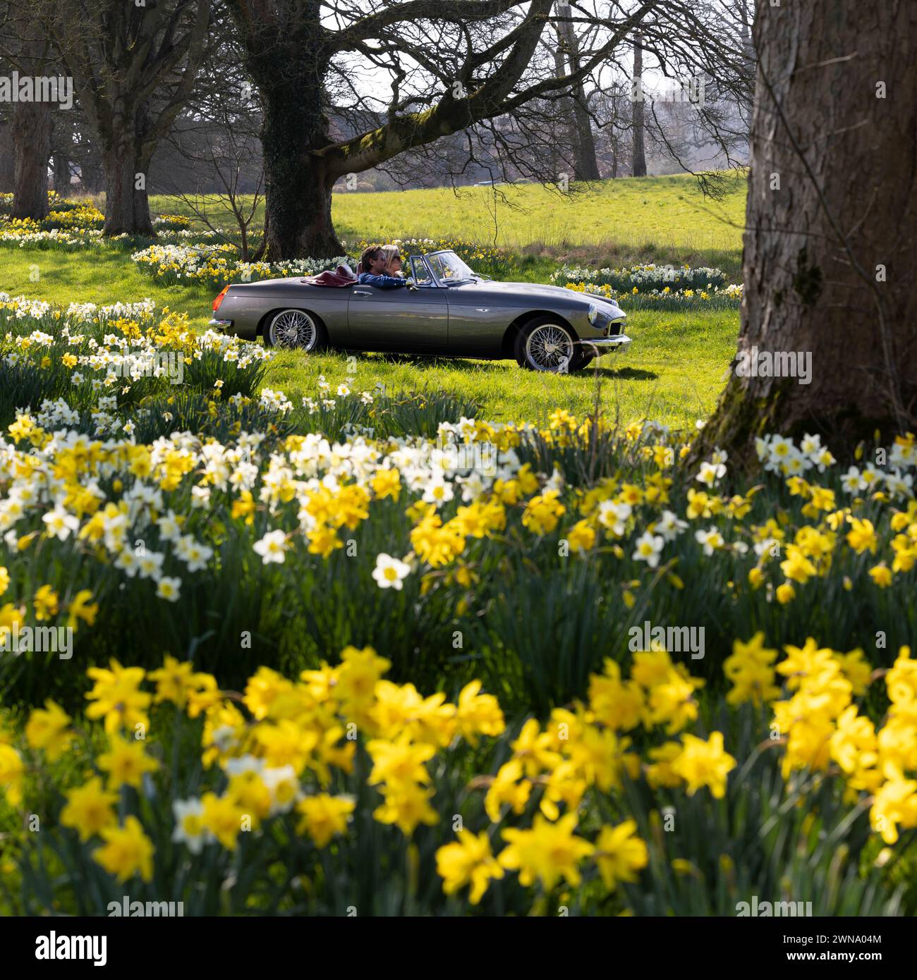 File Photo Electric RBW Roadster. The battery powered classic car is ...