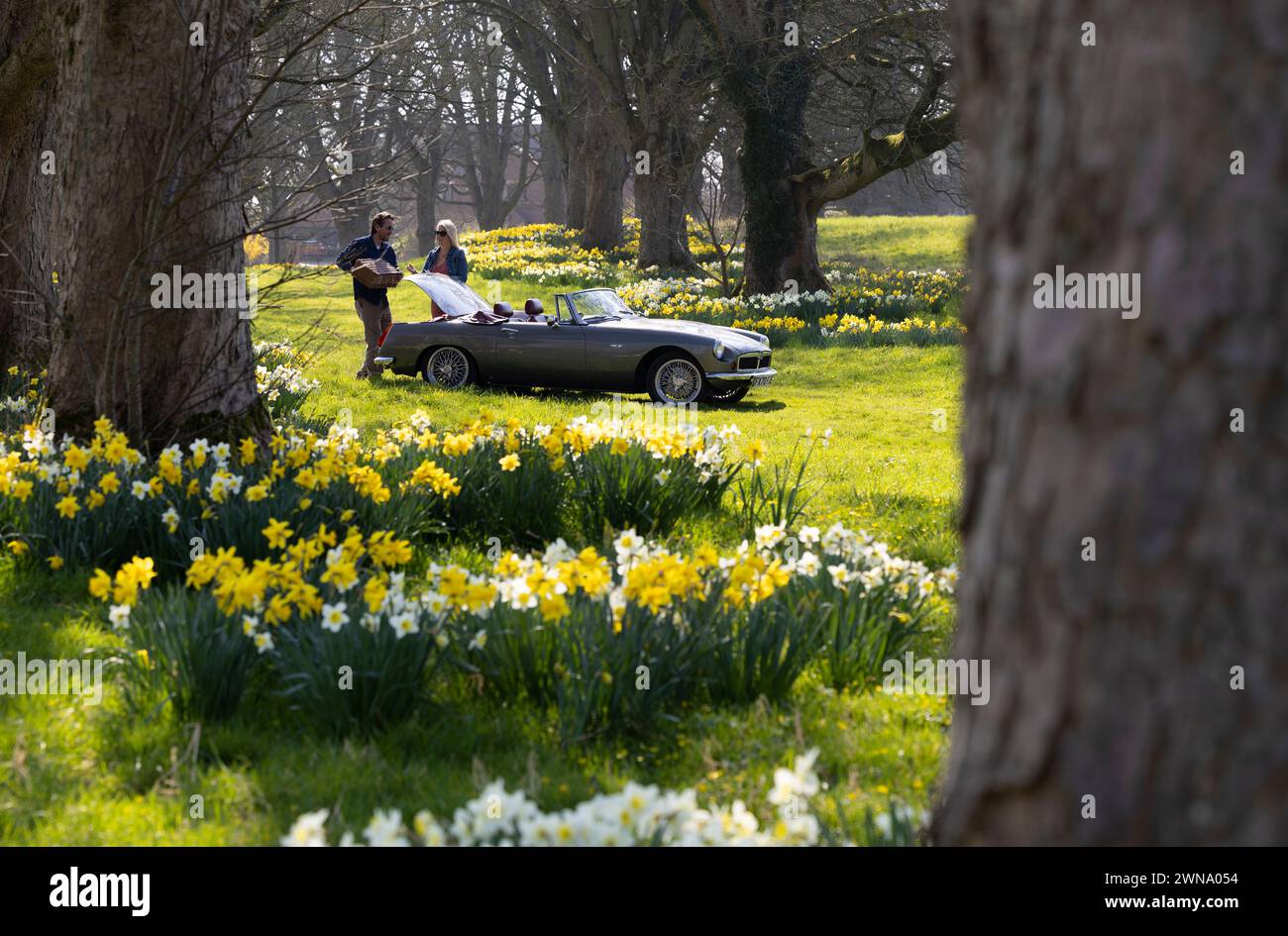 File Photo Electric RBW Roadster. The battery powered classic car is ...