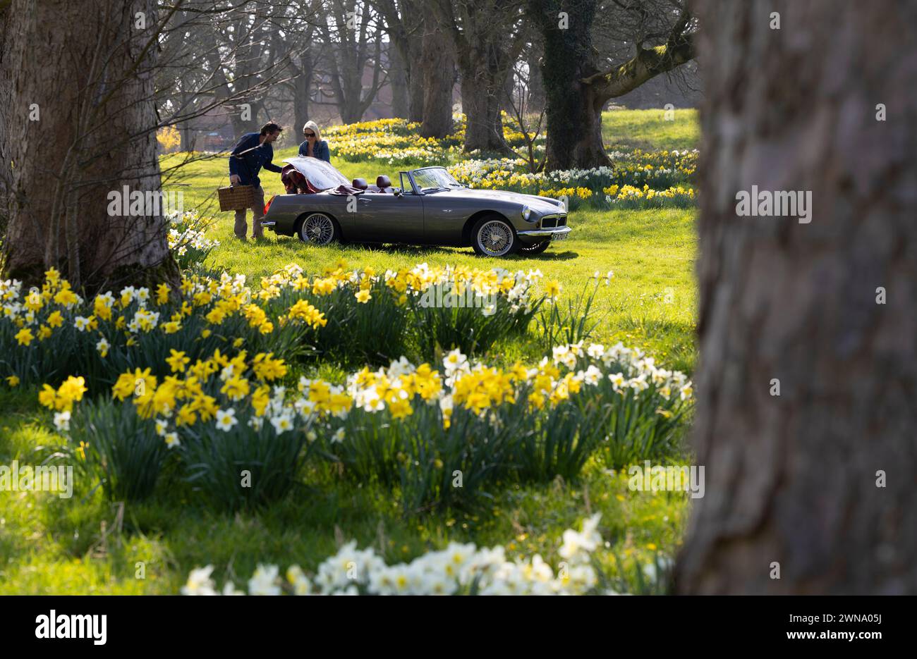 File Photo Electric RBW Roadster. The battery powered classic car is ...