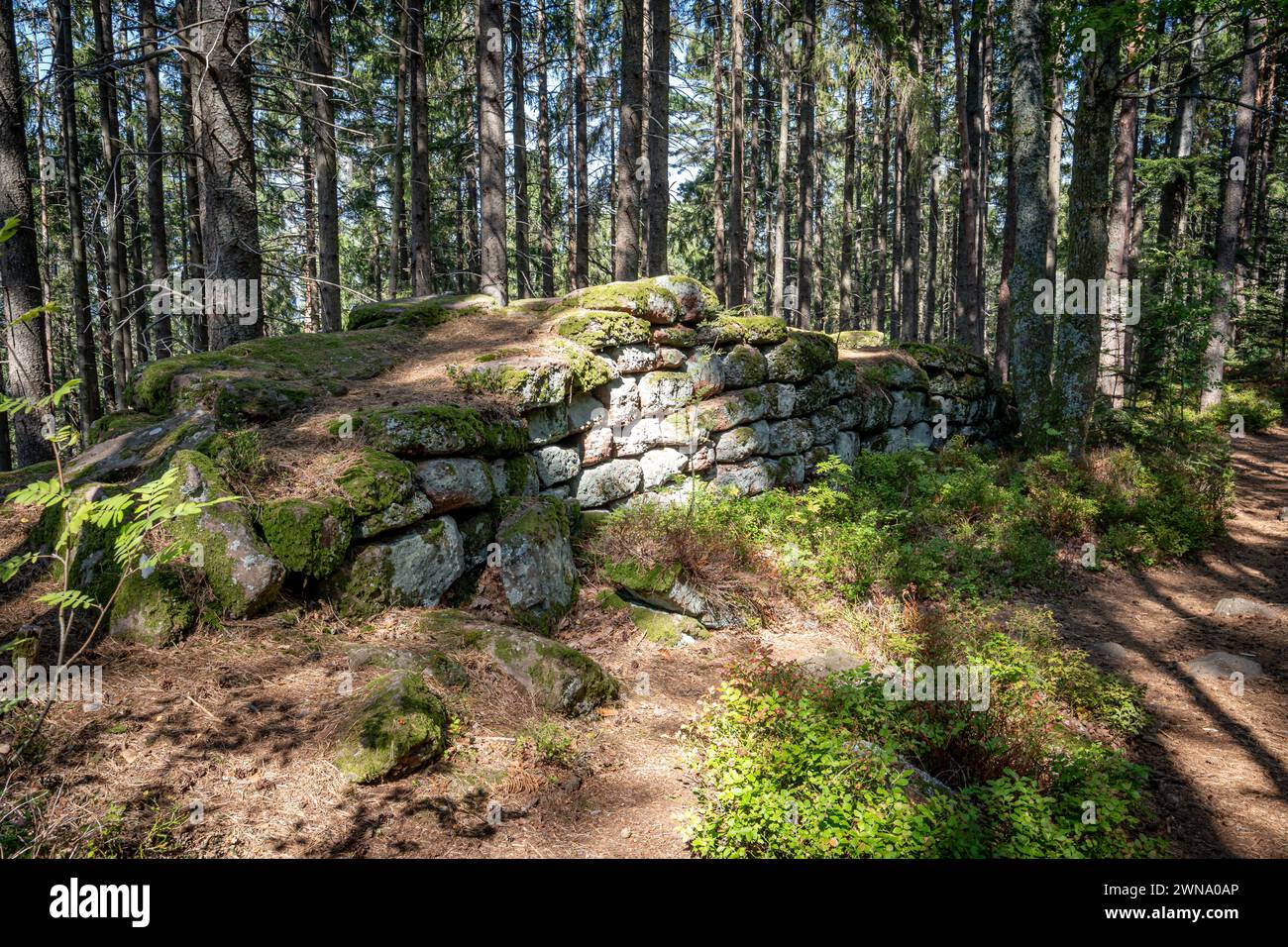 Path of the Gauls. View of the pagan stone wall, stairs and trees Stock ...