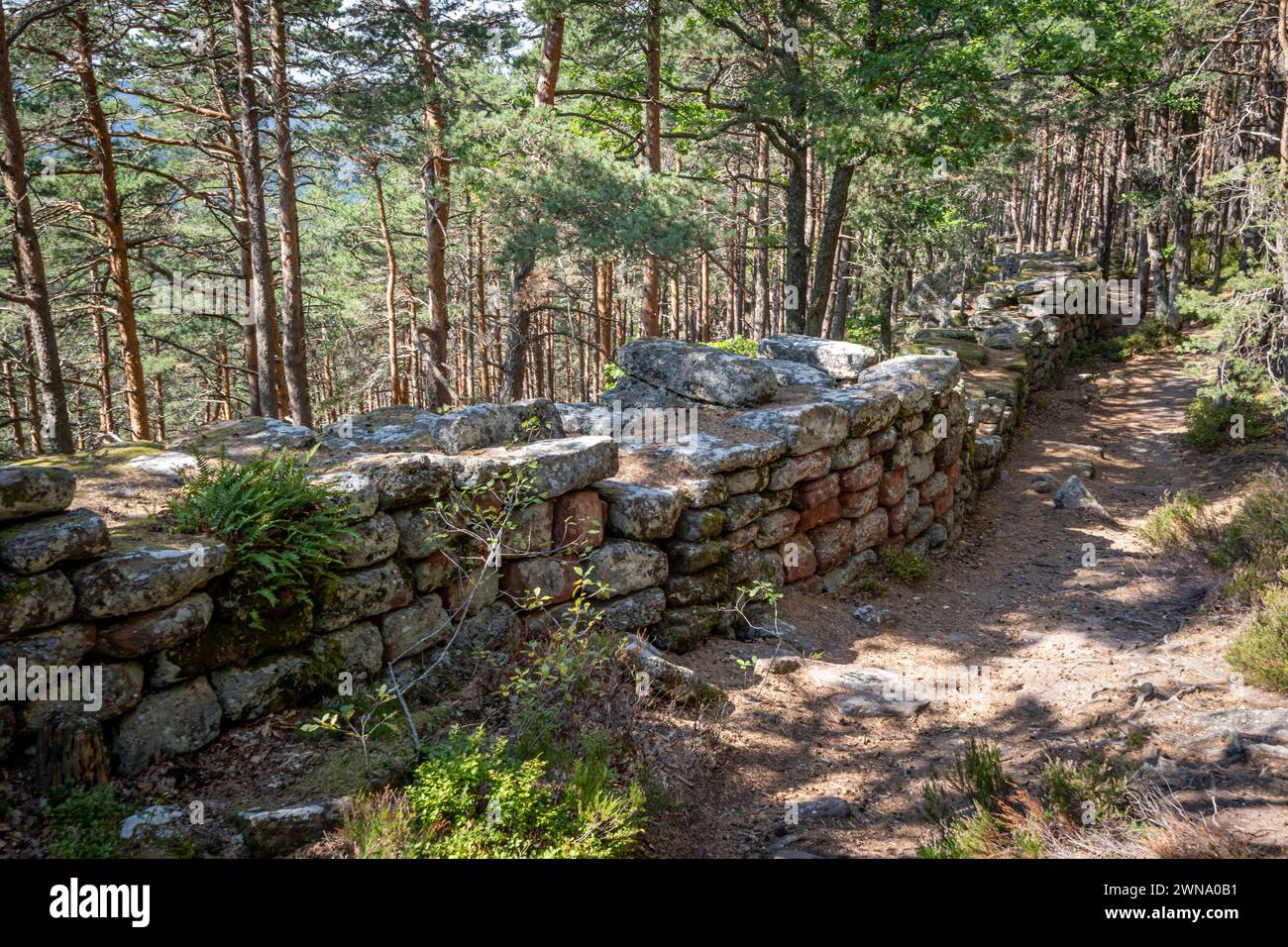 Path of the Gauls. View of the pagan stone wall, stairs and trees Stock ...