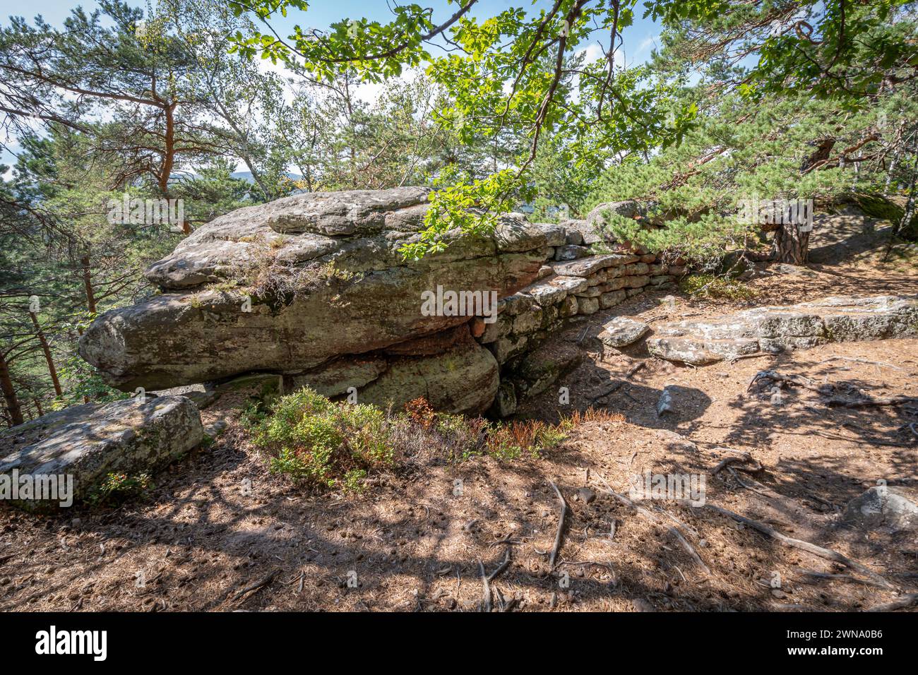 Path of the Gauls. View of the pagan stone wall, stairs and trees Stock ...