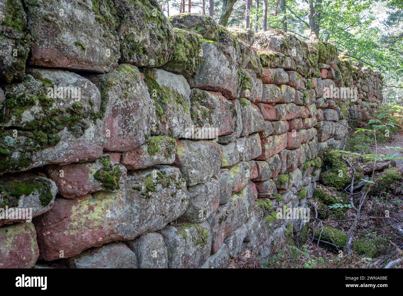 Path of the Gauls. View of the pagan stone wall, stairs and trees Stock ...