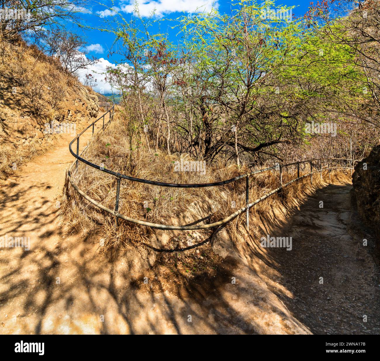 Diamond Head Lookout Trail on Oahu Island in Hawaii Stock Photo - Alamy