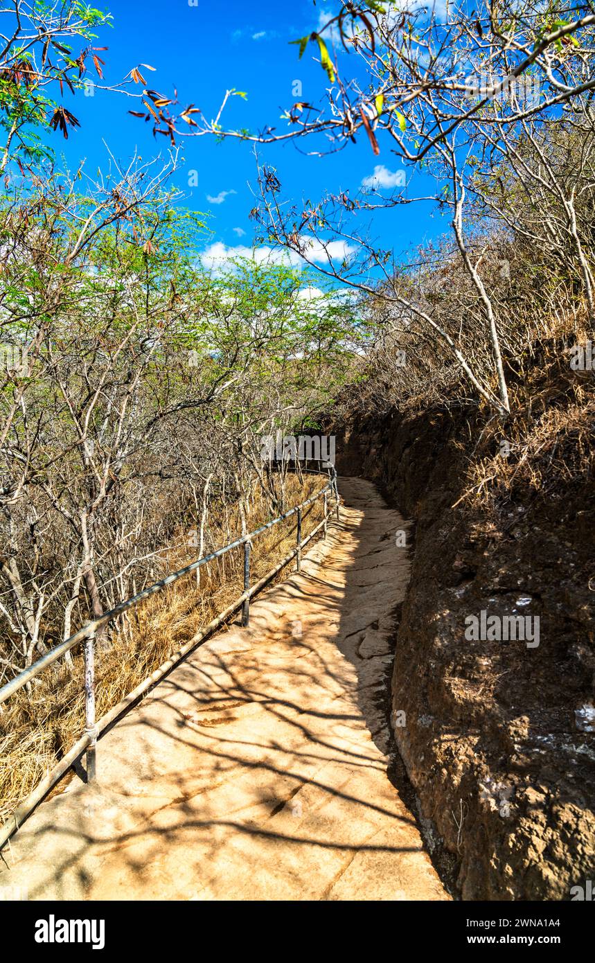 Diamond Head Lookout Trail on Oahu Island in Hawaii Stock Photo - Alamy