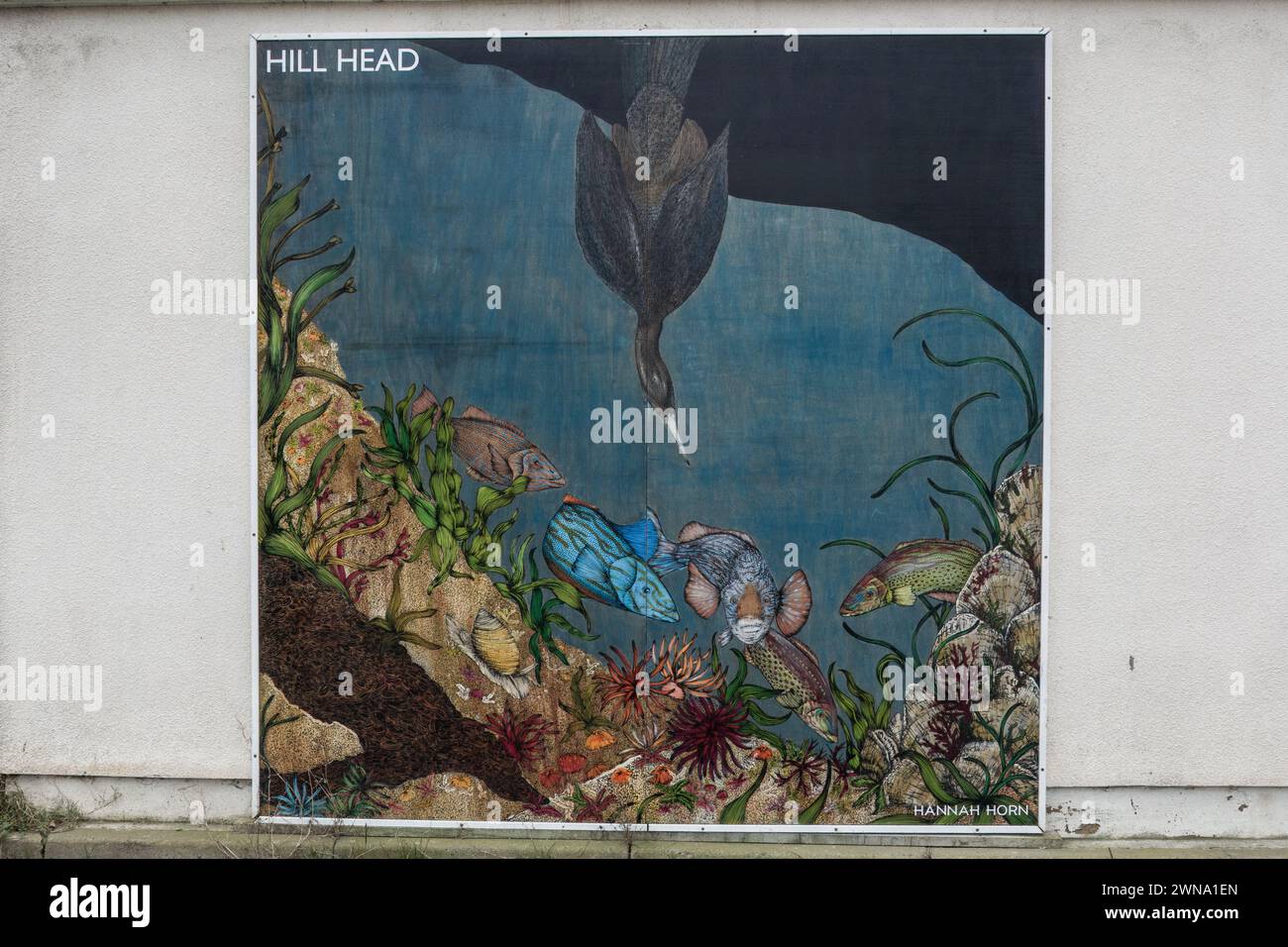 Secrets of the Solent marine mural of a diving cormorant by Hannah Horn ...