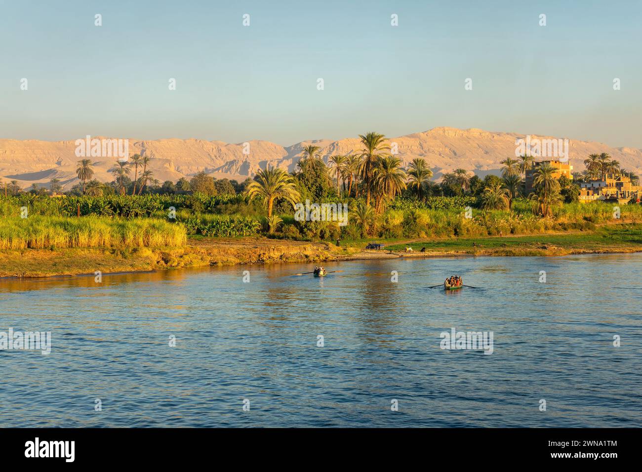 Landscape of palm trees and fields on the Nile river banks, egyptian ...