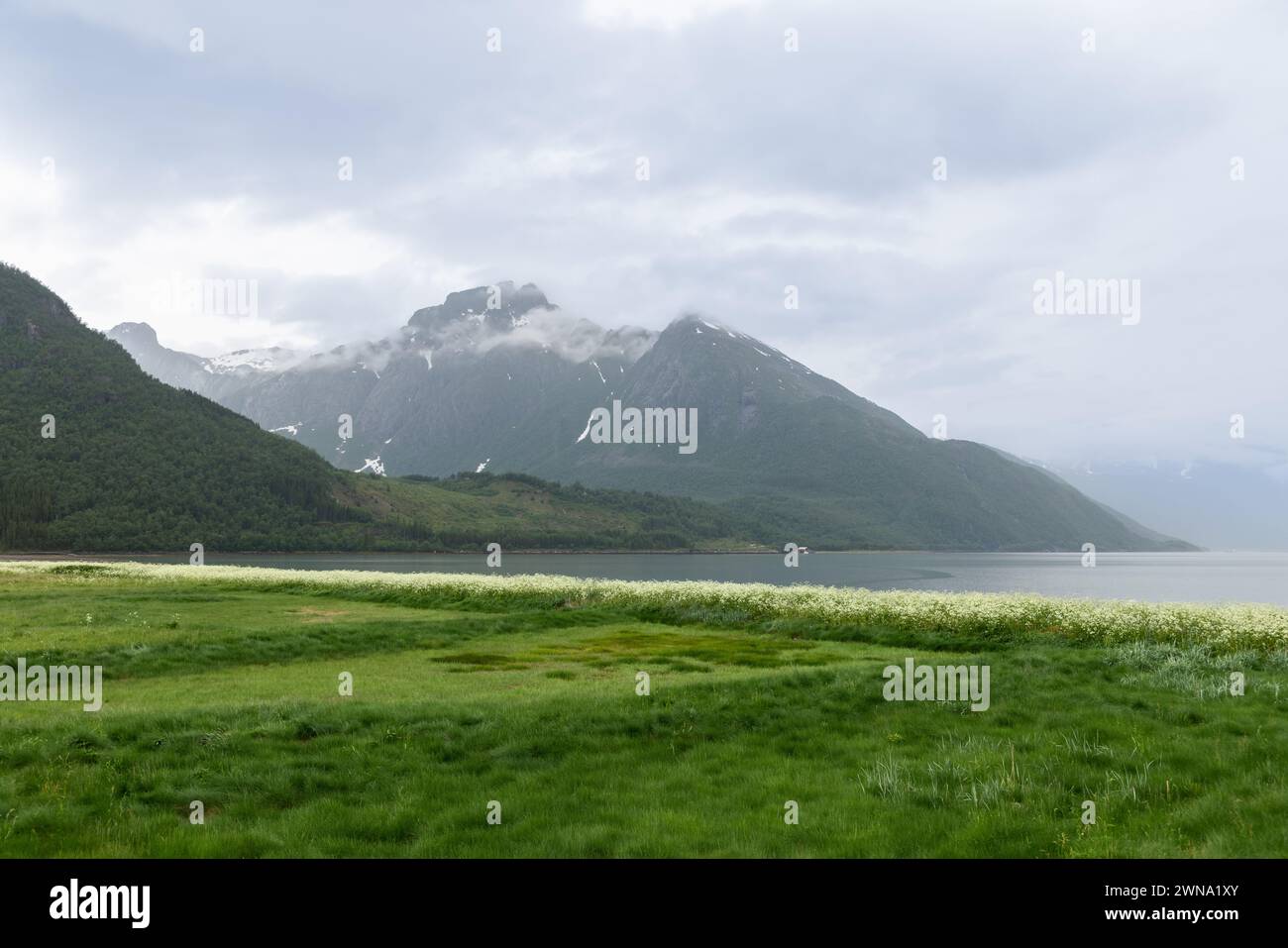 A verdant meadow leads to a fjord flanked by towering peaks shrouded in ...