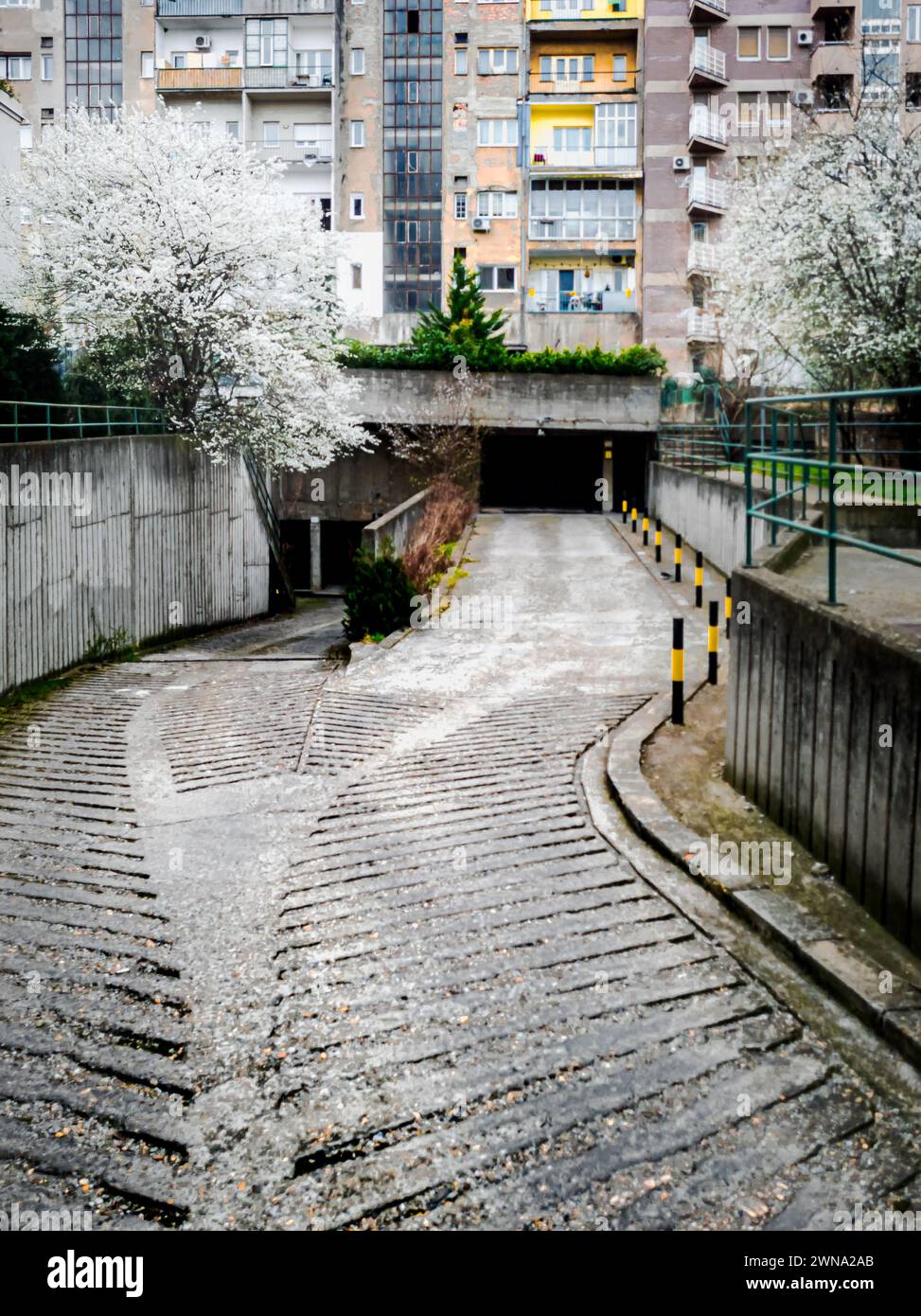 Underground garage and blossoming trees in the early spring season ...