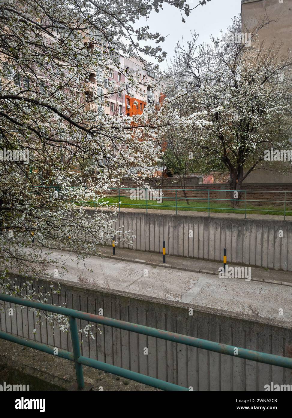 Underground garage and blossoming trees in the early spring season ...