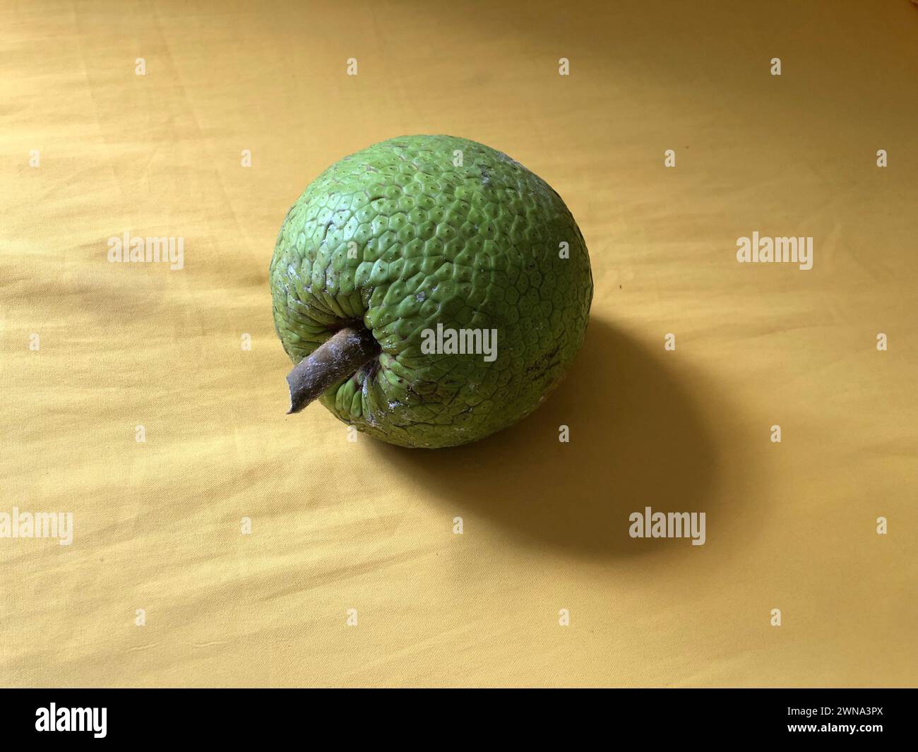 Breadfruit or breadfruit on the yellow table in the interior of Brazil ...