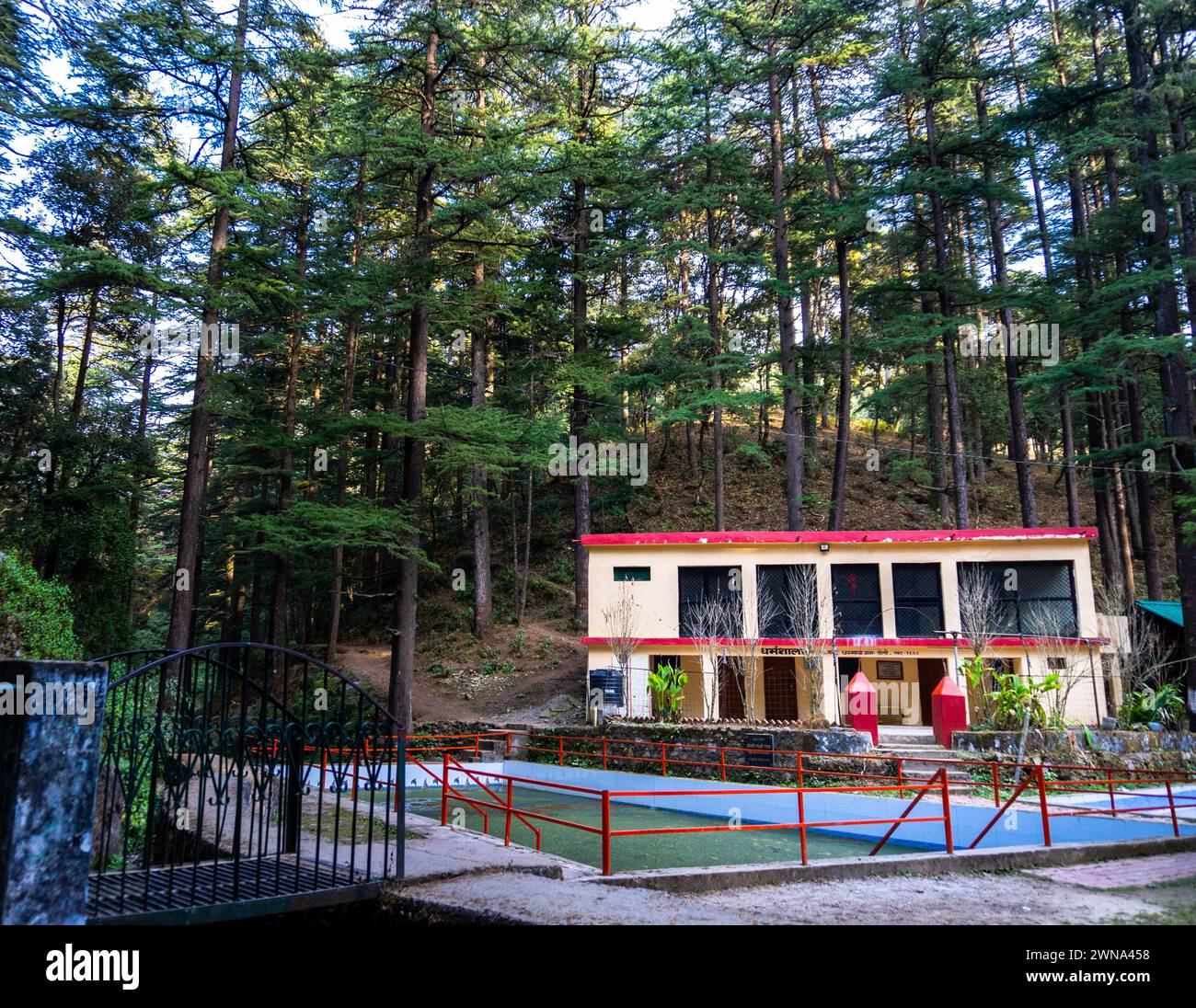 Feb.18th 2024, Uttarakhand India. Tranquil Dharamshala in Deodar Forest: Tarkeshwar Mahadev ...