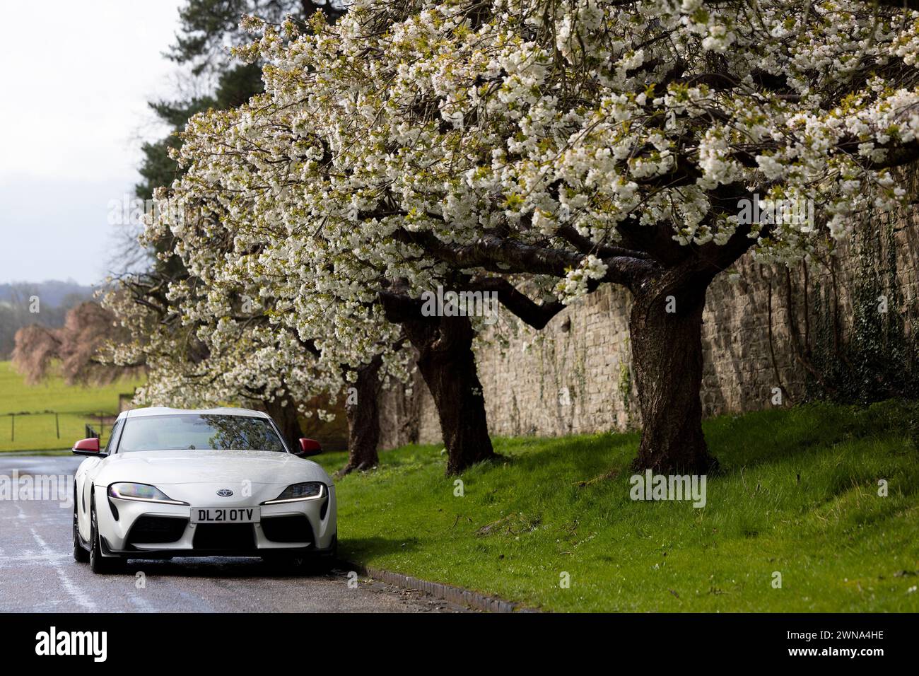 07/04/22 Toyota GR Supra Fuji, Staffordshire, UK Stock Photo - Alamy