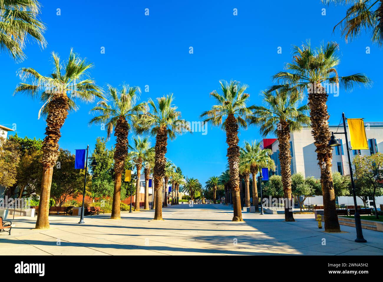 Paseo de Cesar Chavez at San Jose State University in California ...