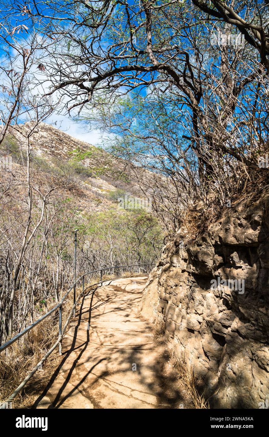 Diamond Head Lookout Trail on Oahu Island in Hawaii Stock Photo - Alamy