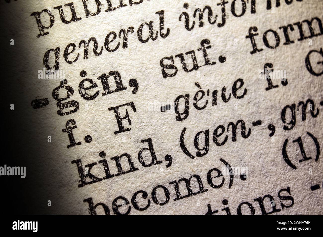 Ancestry science hi-res stock photography and images - Alamy