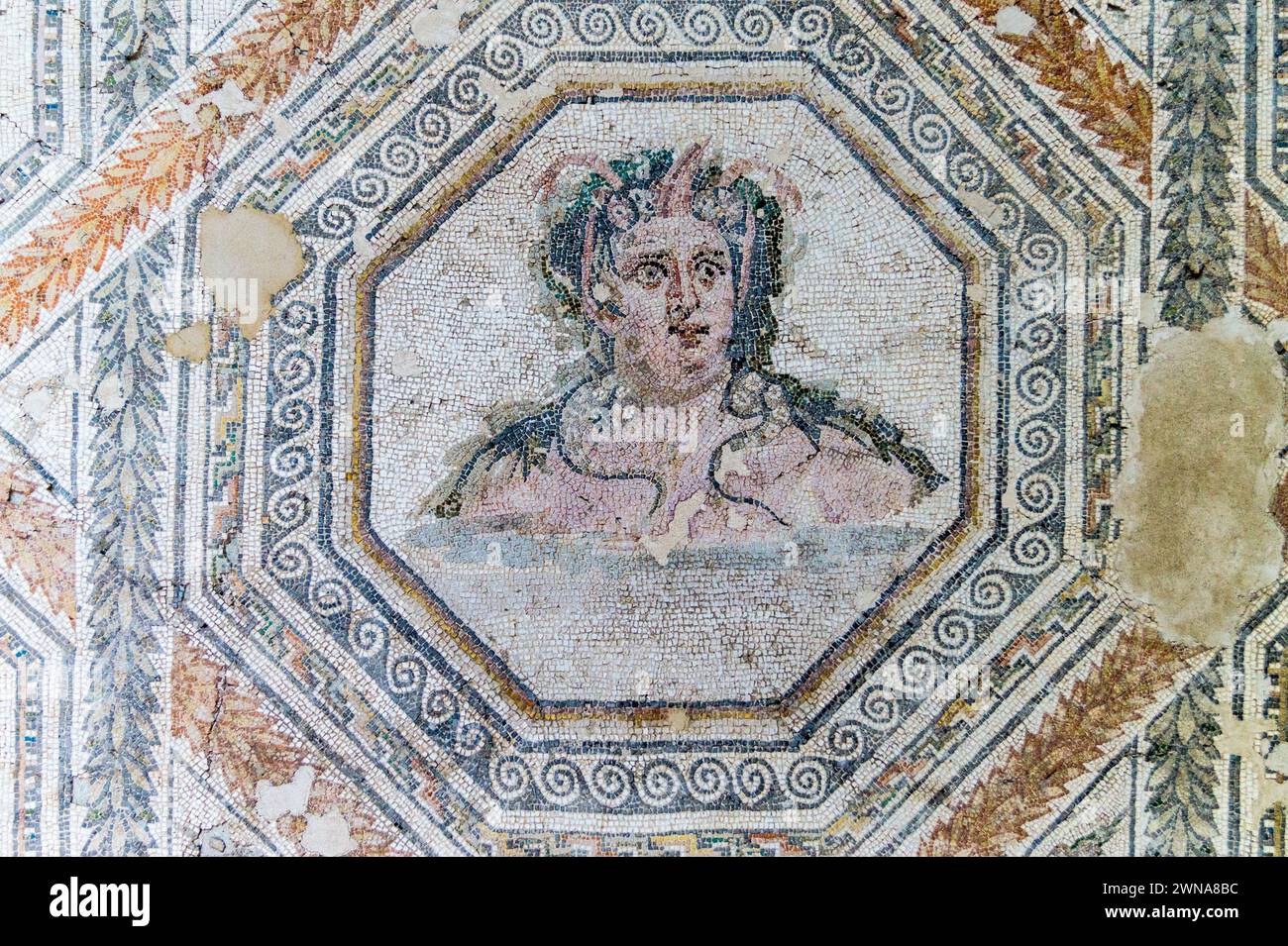 Roman mosaic of Triton, Greek god of the sea, found at the governor's ...